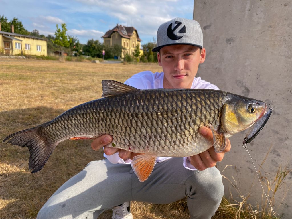 Jelec tloušť | Chyť a pusť