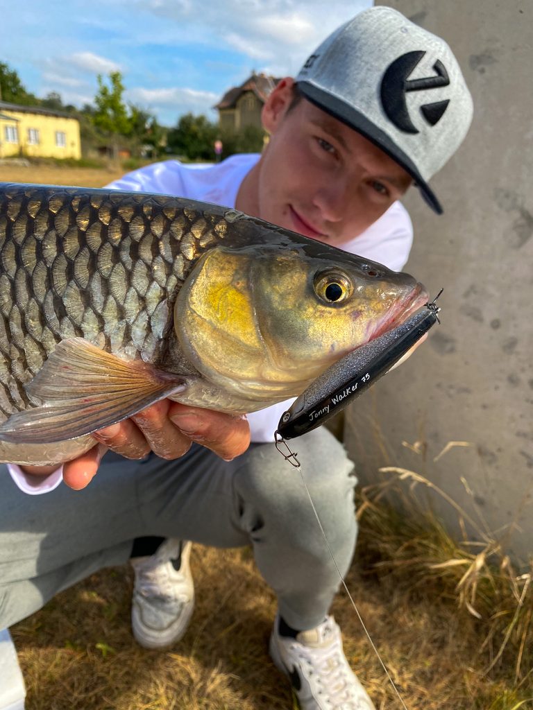 Jelec tloušť | Chyť a pusť