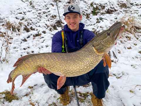 Štika obecná | Chyť a pusť