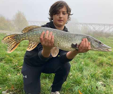 Štika obecná | Chyť a pusť