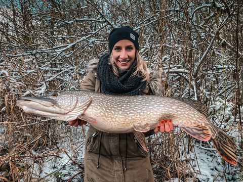 Štika obecná | Chyť a pusť