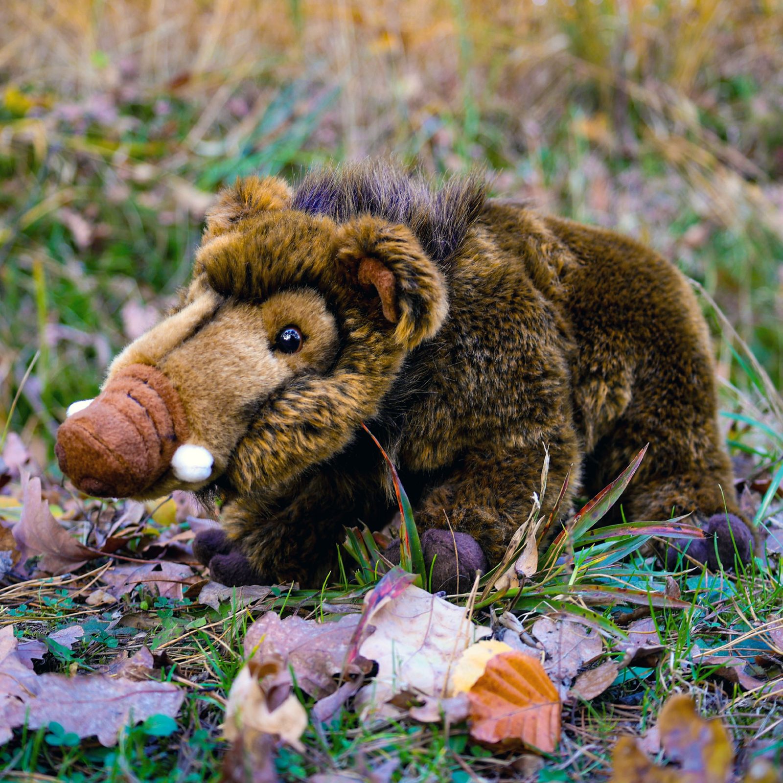 Plyšové prase divoké ležící 33 cm | Plyšová zvířátka exotická | Mikaton.cz