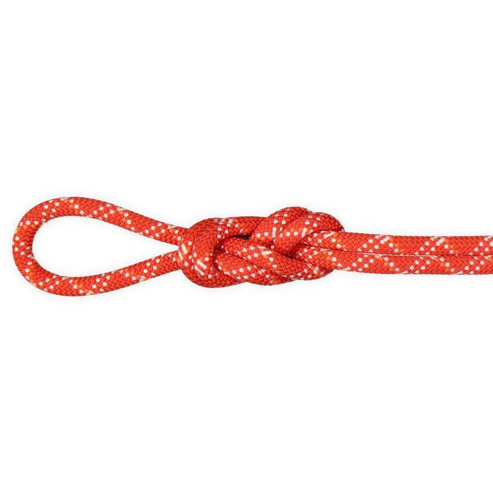 9.5 Gym Classic Rope 40m raspberry-white - Lano - MAMMUT - 2 592 Kč