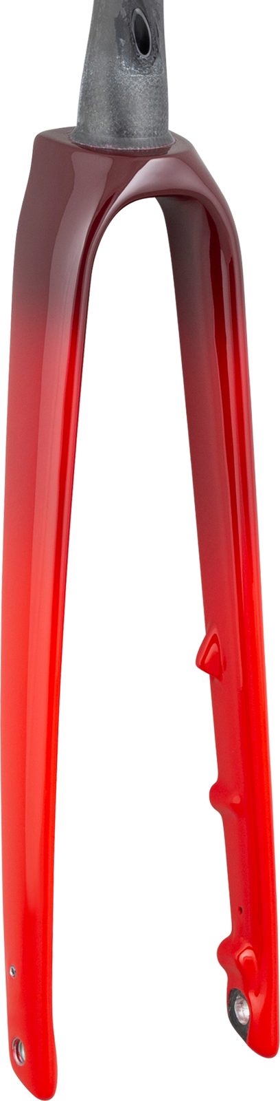 Fork Rigid 2025 Domane SL 7 53R 290mm, 53mm Cobra Blood/Viper Red ...
