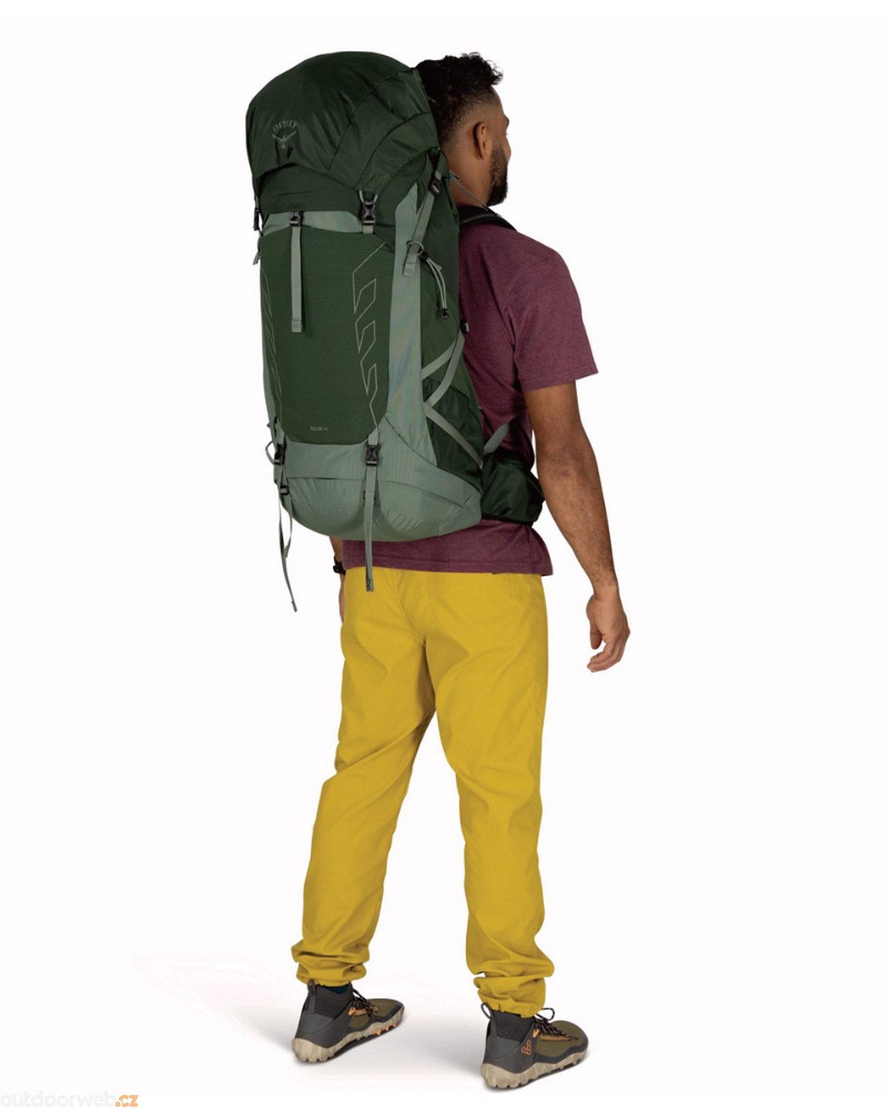 TALON 44, green canopy/pine leaf - men's hiking backpack - OSPREY - 155 ...