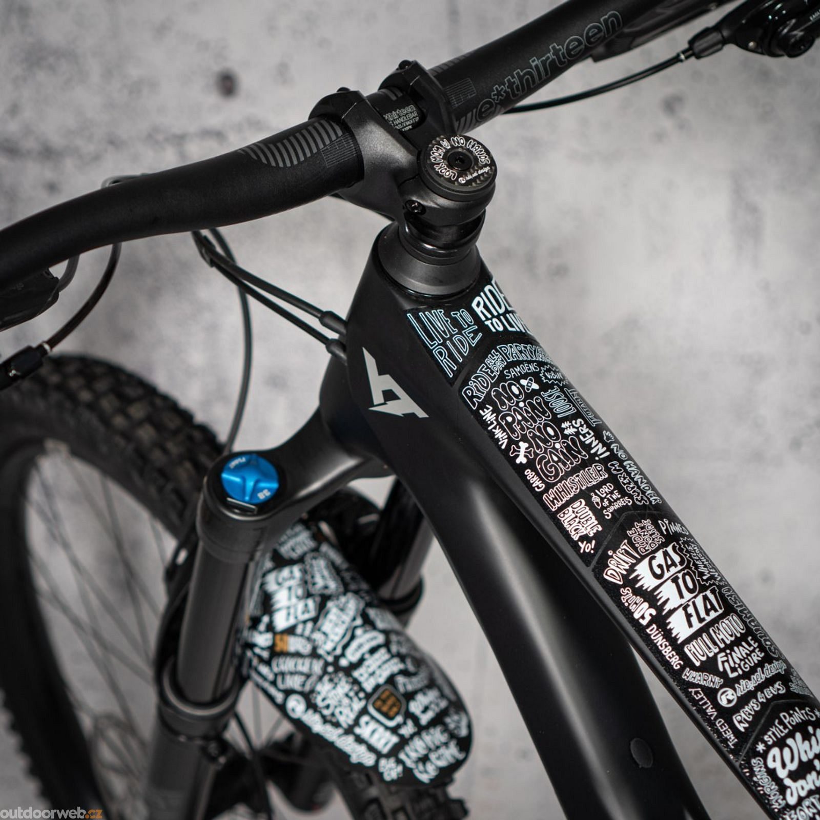 Frame:guard slang white - foil on the frame - RIESEL - 32.15