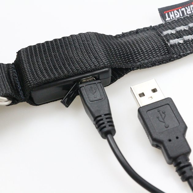 Reedog luminous USB svíticí obojek pro malé, střední a velké psy ...