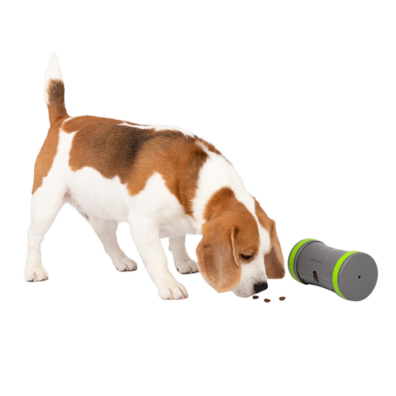 Elektronická hračka pre psov PetSafe Kibble Chase - Chovateľstvo ...