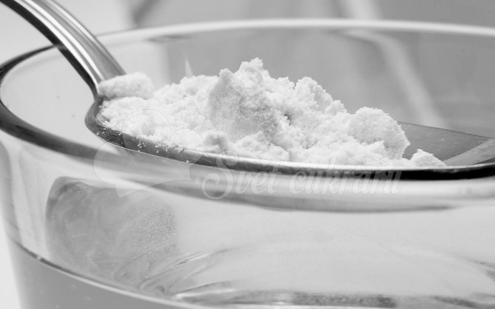 World of Confectioners - Ammonium confectionery yeast powder - 100 g ...