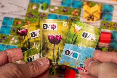 Třpytivé květy | Spoločenské doskové hry SVET-HIER.SK | Hrajte sa!