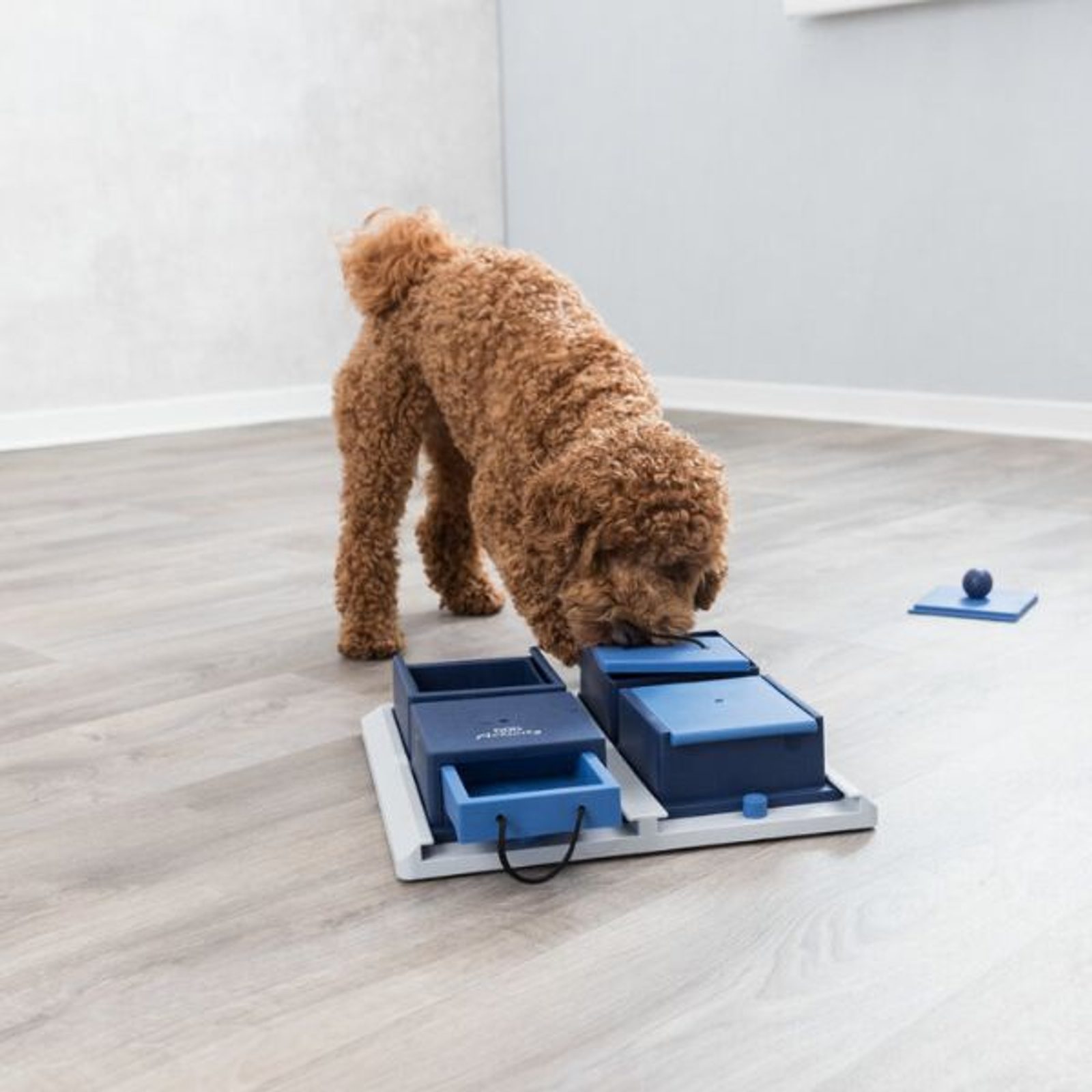 Hlavolam pre psov Dog Activity POCKER BOX 1 - Pre psov - Reedog.sk