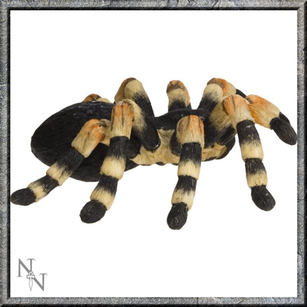 TARANTULE, pavouk, figurka - Drakkaria.cz | Výroba šperků, kovaných a ...