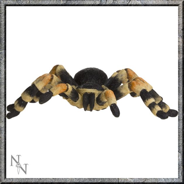 TARANTULE, pavouk, figurka - Drakkaria.cz | Výroba šperků, kovaných a ...
