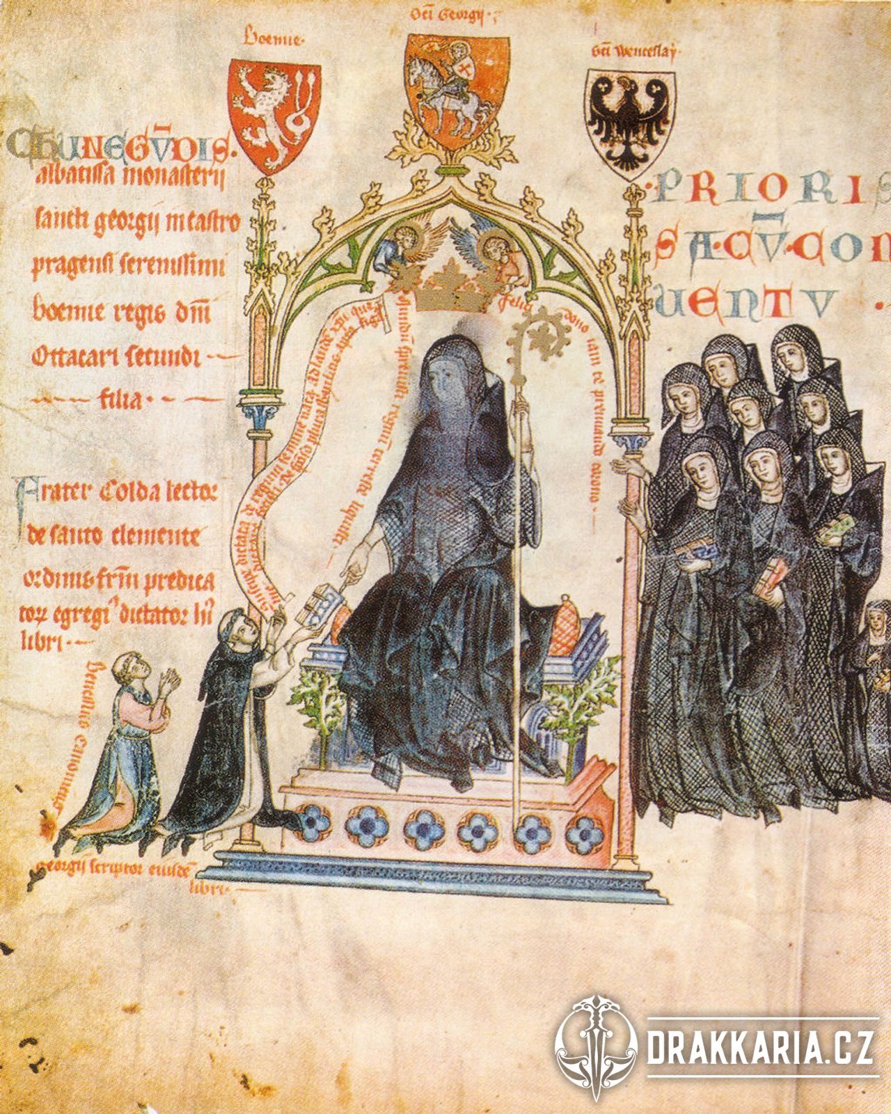 Středověký štít - Český Lev, bojový - Drakkaria