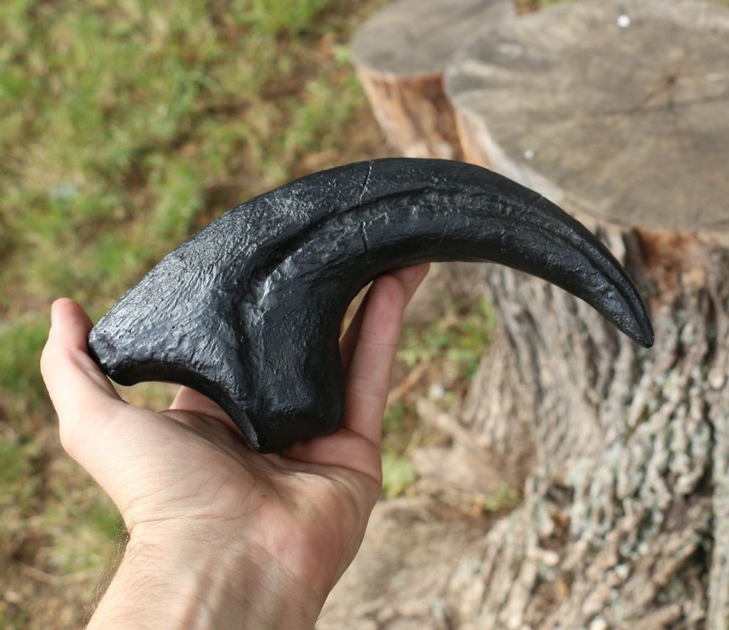 Allosaurus, claw, replica Wulflund