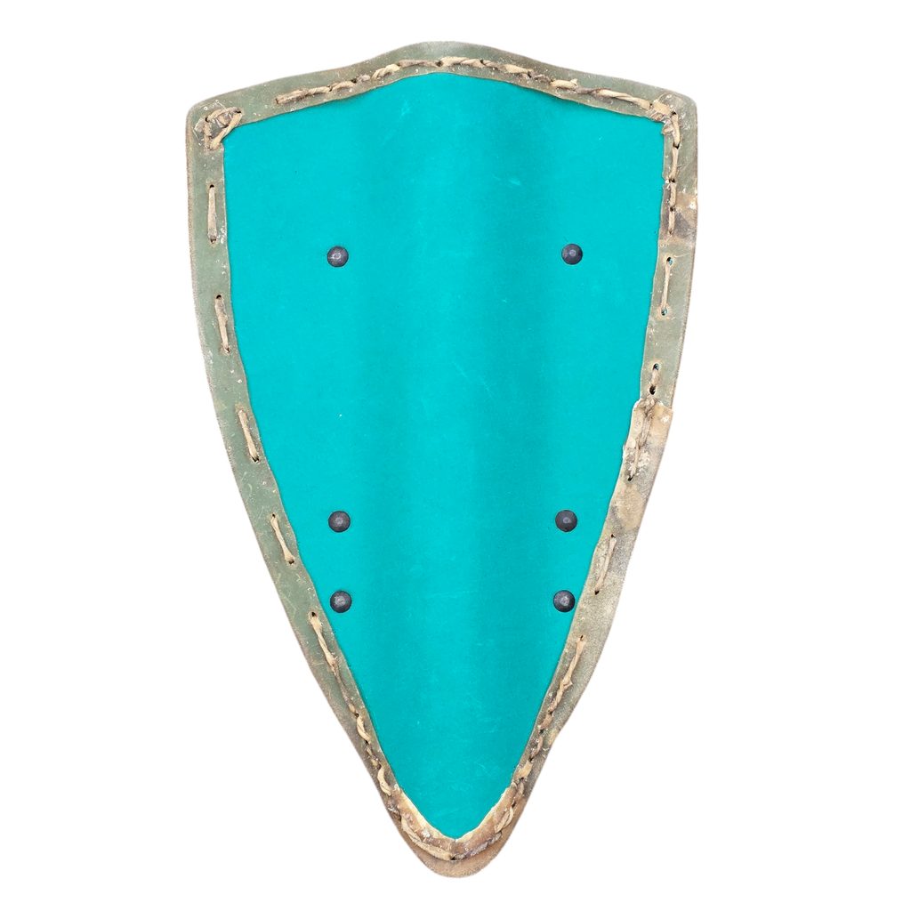 Medieval strike shield HMB Wulflund