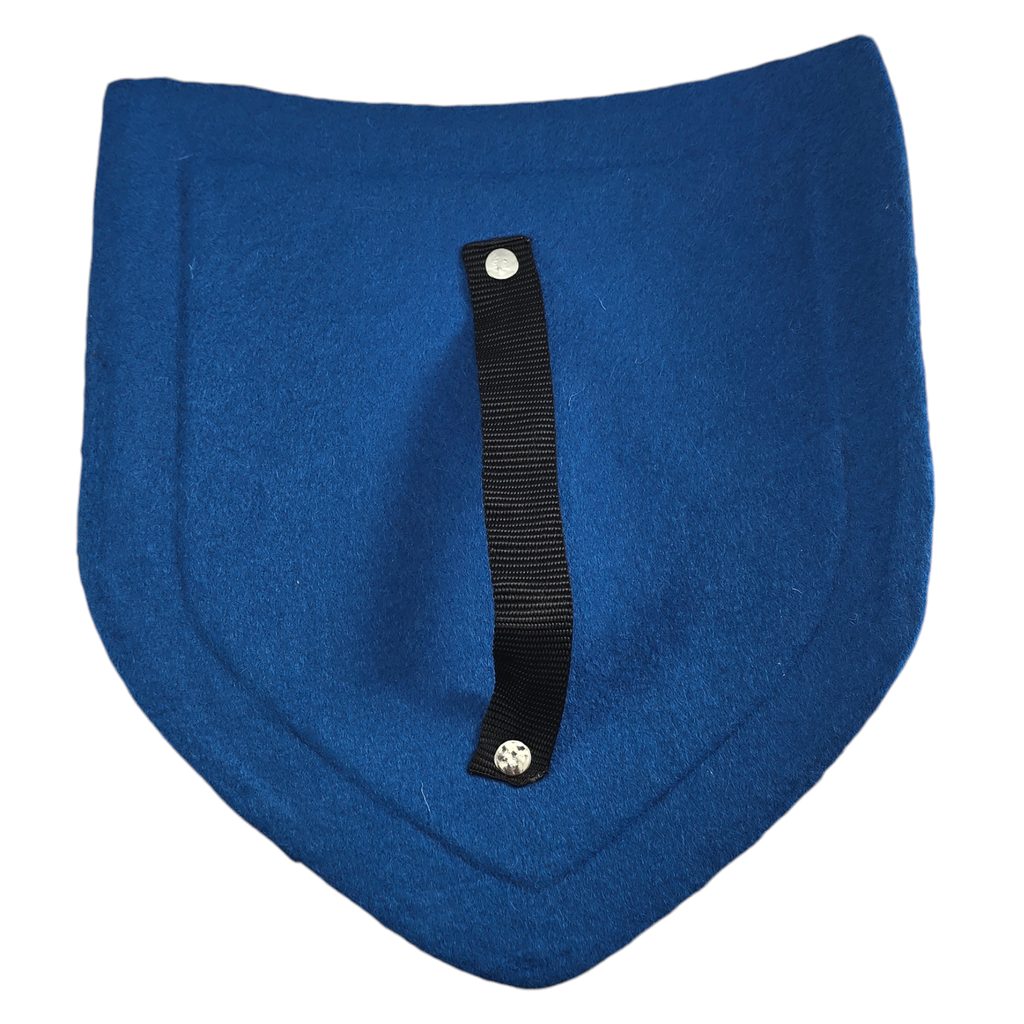 TRYZUB - UKRAINE, MEDIEVAL SHIELD - metal, handmade Decorative and ...