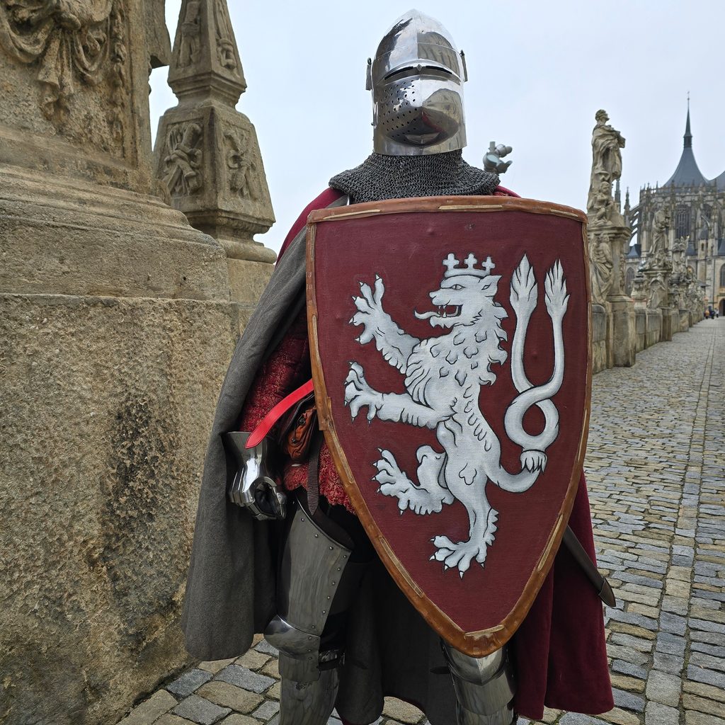 Medieval shield - Bohemian Lion, combat Wulflund