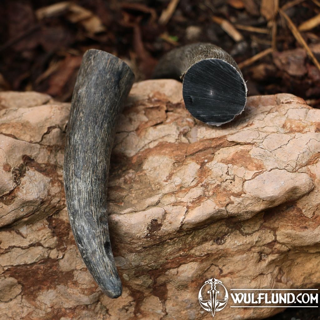 Dragon claw - horn tip drinking horns Horn Products We make history come alive!