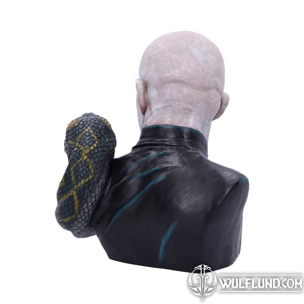 Voldemort Suited Up