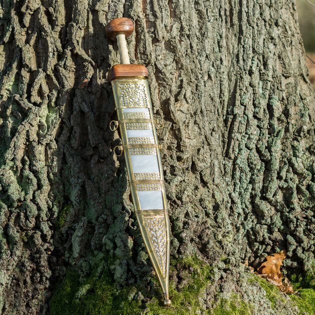 GLADIUS SWORD, type Mainz with scabbard - wulflund.com