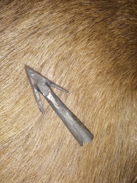 IRON ARROW We make history come alive!