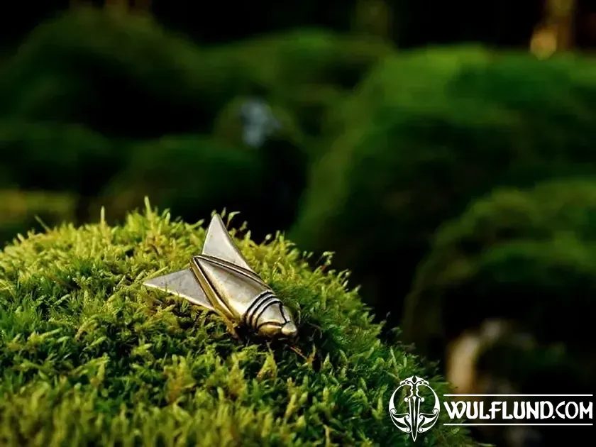 Cicada, Roman-Germanic clasp, bronze Costume brooches, fibulae bronze ...