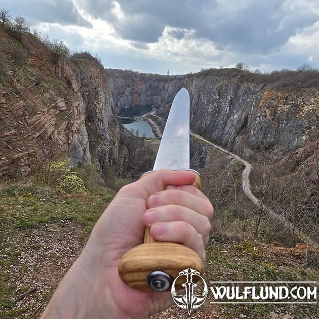 Celtic Sword, Must Farm, Early Iron Age, La Téne - England Arma Epona ...