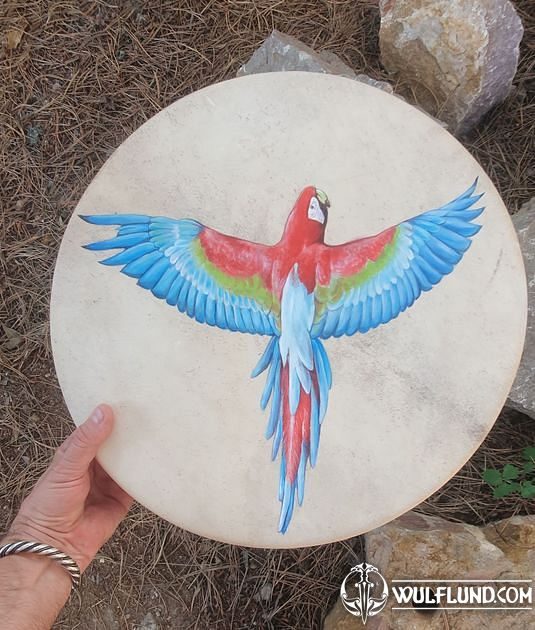 SHAMAN DRUM - Macaw parrot 40 cm Drums, Flutes We make history come alive!
