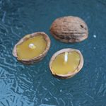 Floating nut - beeswax candle in shell Candles Aromatherapy, Home decor Wulflund