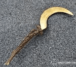 Boline - Druid Sickles Golden Sickle of the Druids Wulflund