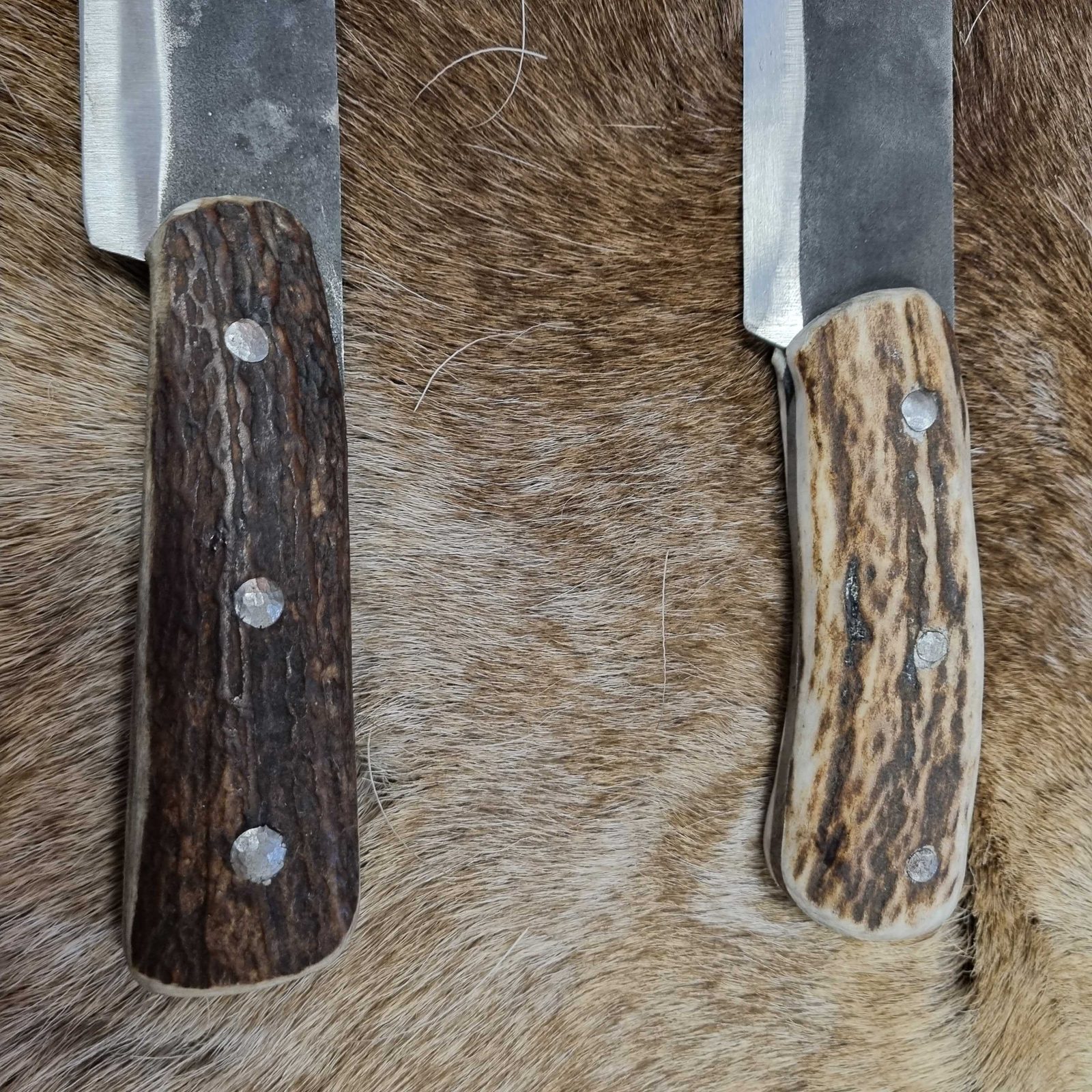 SEAX, hand forged long knife, antler Wulflund