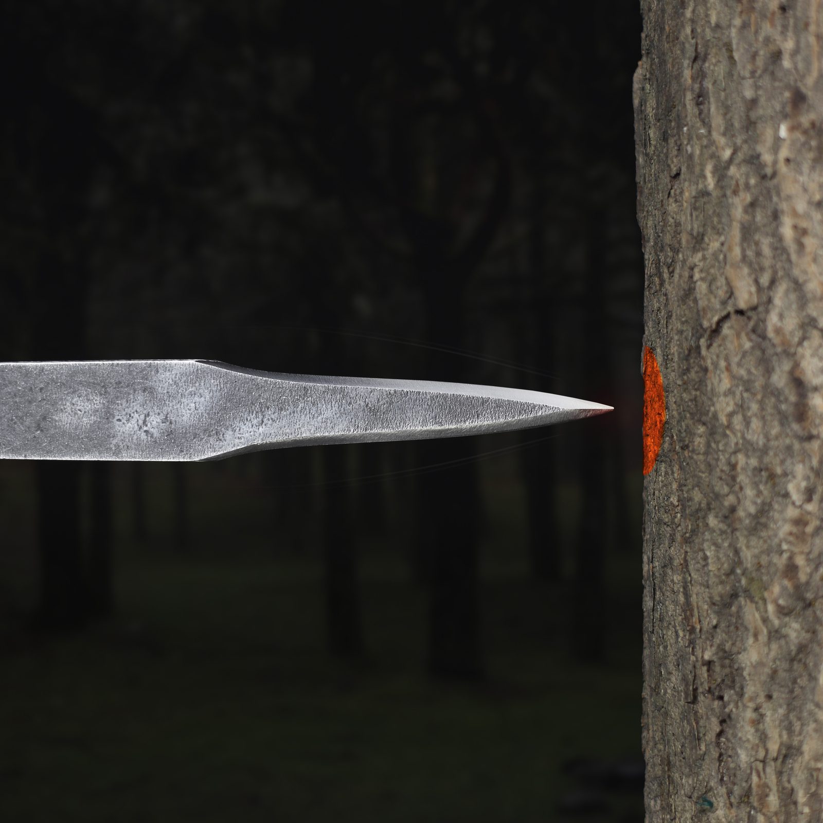 CORVUS, professional throwing knives - 3x set Drakkaria Throwing knives ...