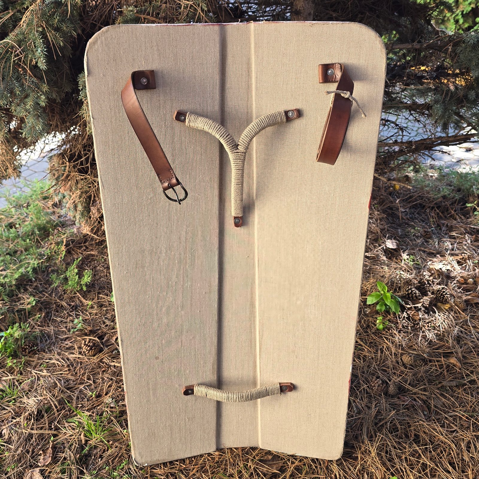 Medieval pavise, David and Goliath, Bohemia Wulflund