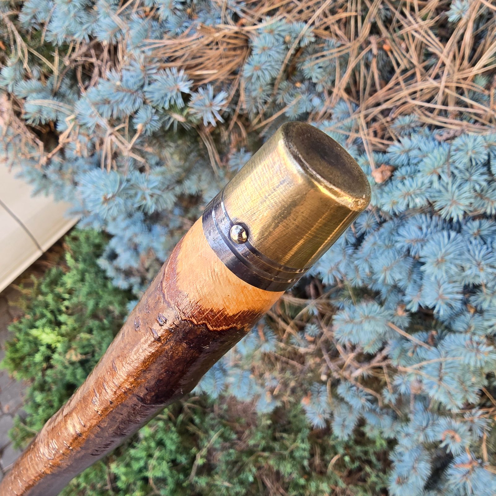 Shillelagh - Irish cane, hazel, Casey's Blackthorns Wulflund