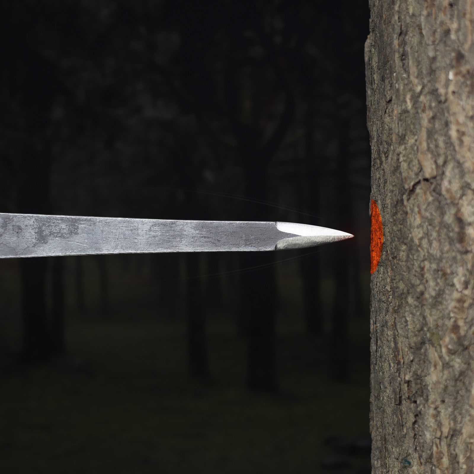 STORK, throwing knife Drakkaria Throwing knives by Wulflund Forge ...