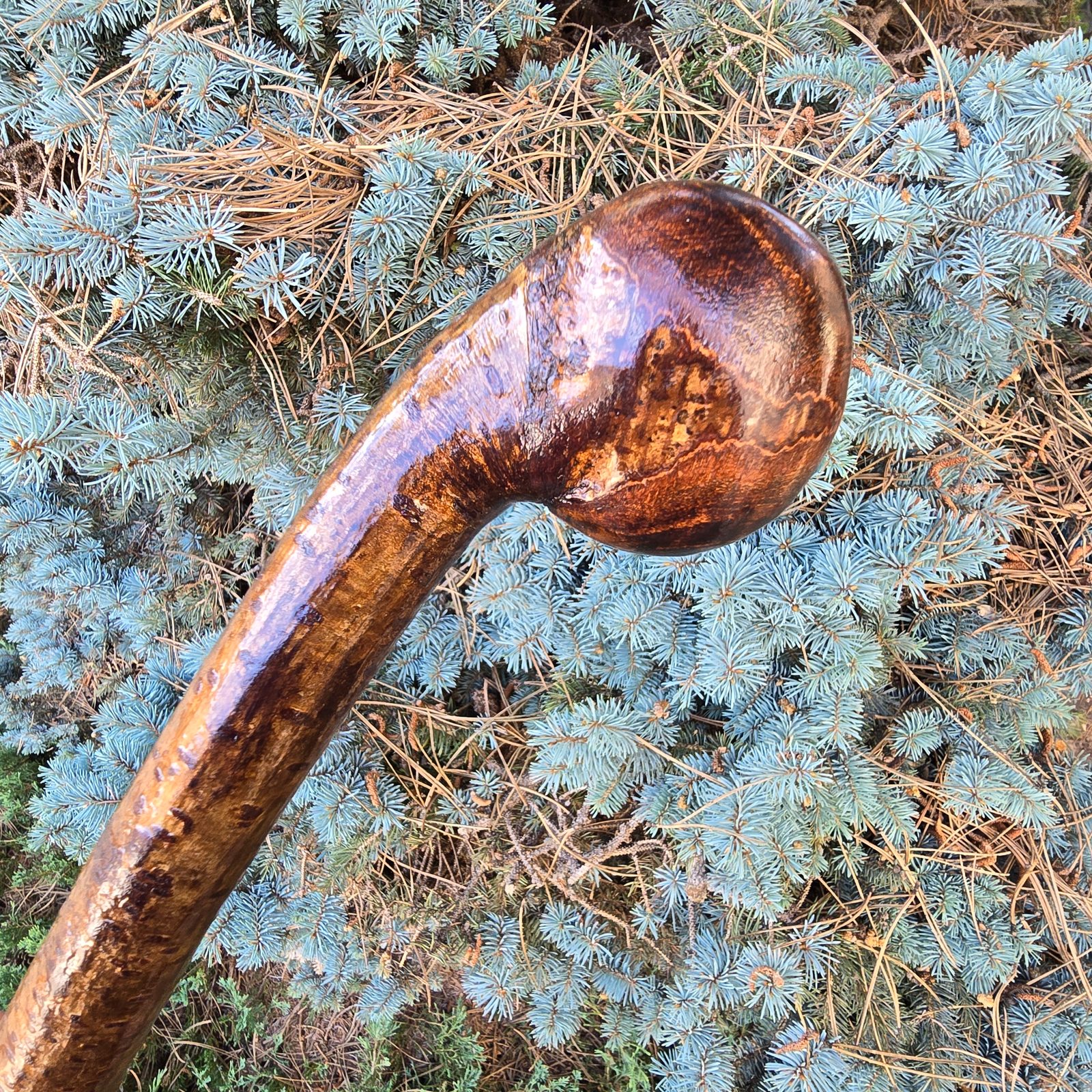 Shillelagh - Irish cane, hazel, Casey's Blackthorns Wulflund