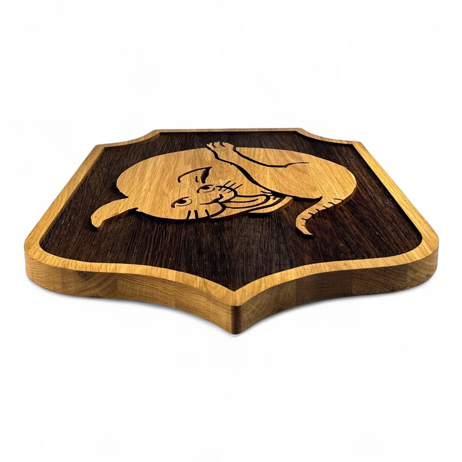 Cat from the Pub, Wooden Shield on the Wall, Kingdom Come: Deliverance ...