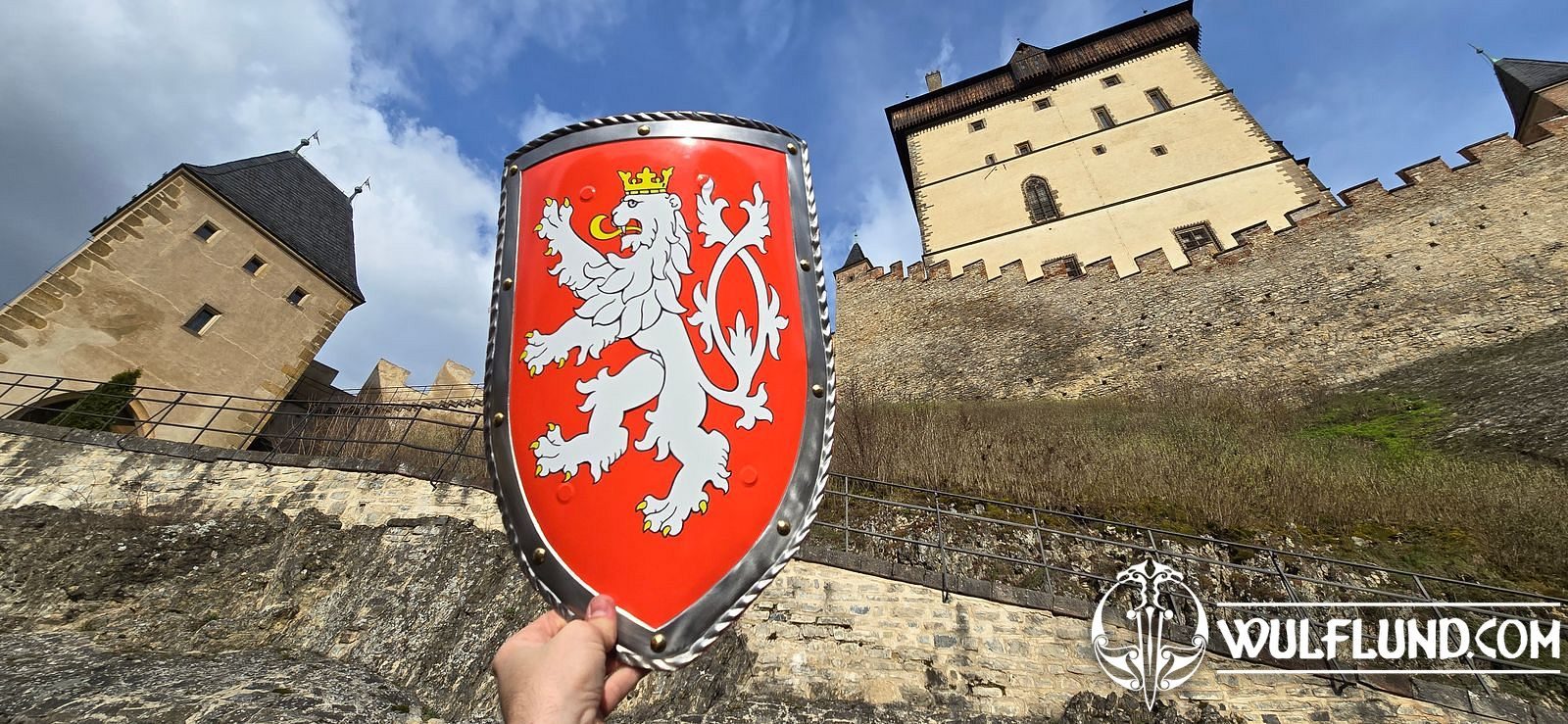 MEDIEVAL SHIELD - Bohemian lion, metal, handmade Decorative and painted ...