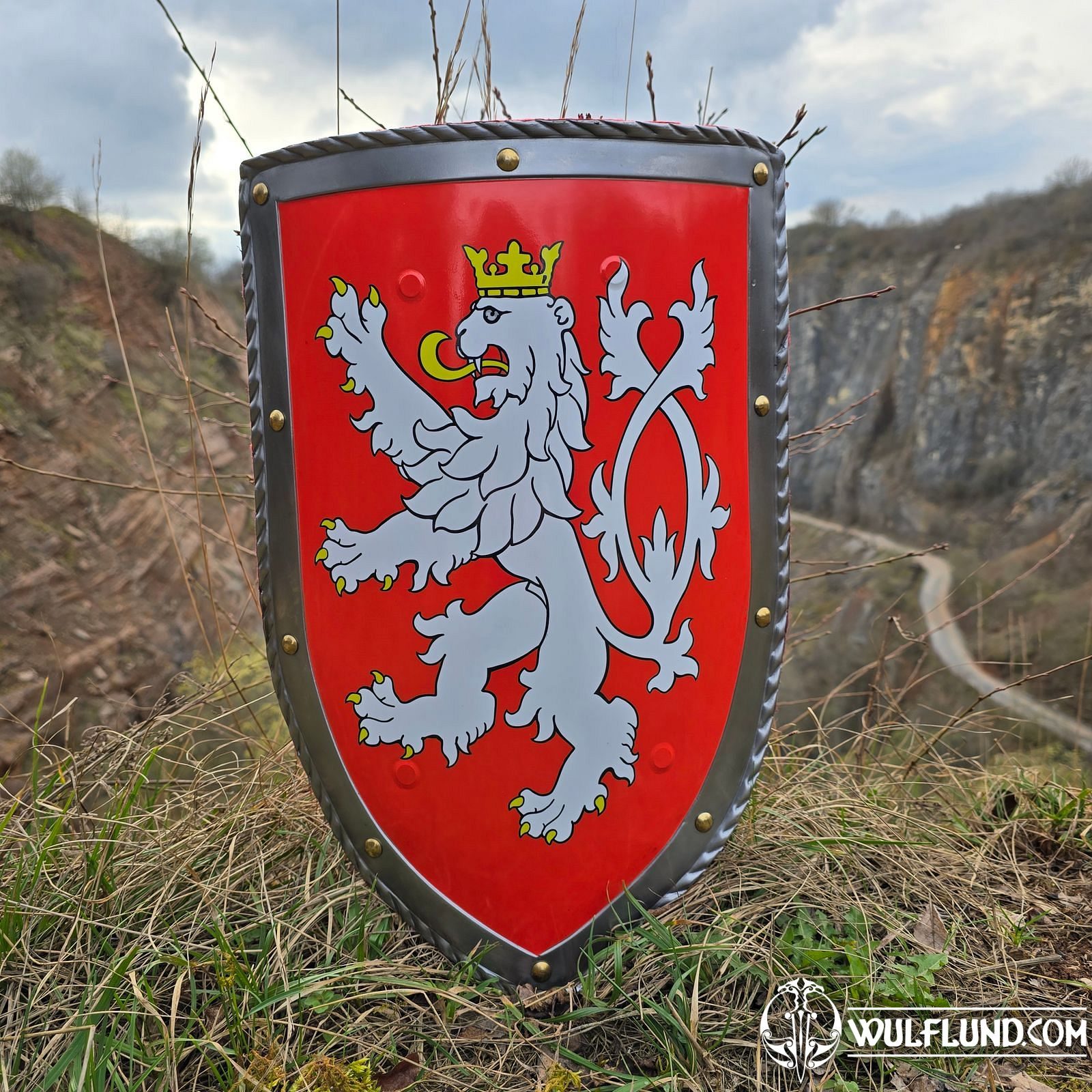 MEDIEVAL SHIELD - Bohemian lion, metal, handmade Decorative and painted ...