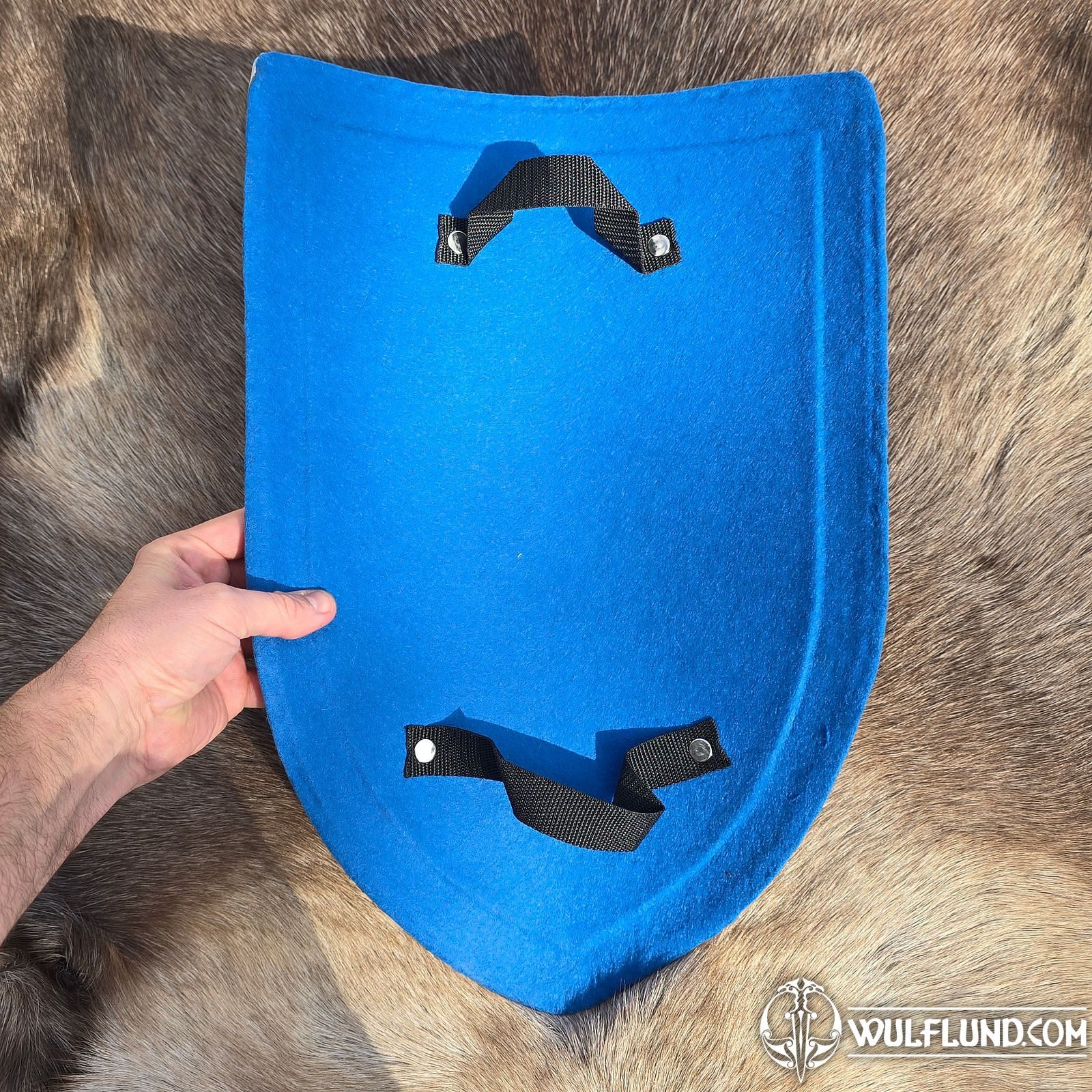 FRANCE, MEDIEVAL SHIELD - metal, handmade Decorative and painted ...