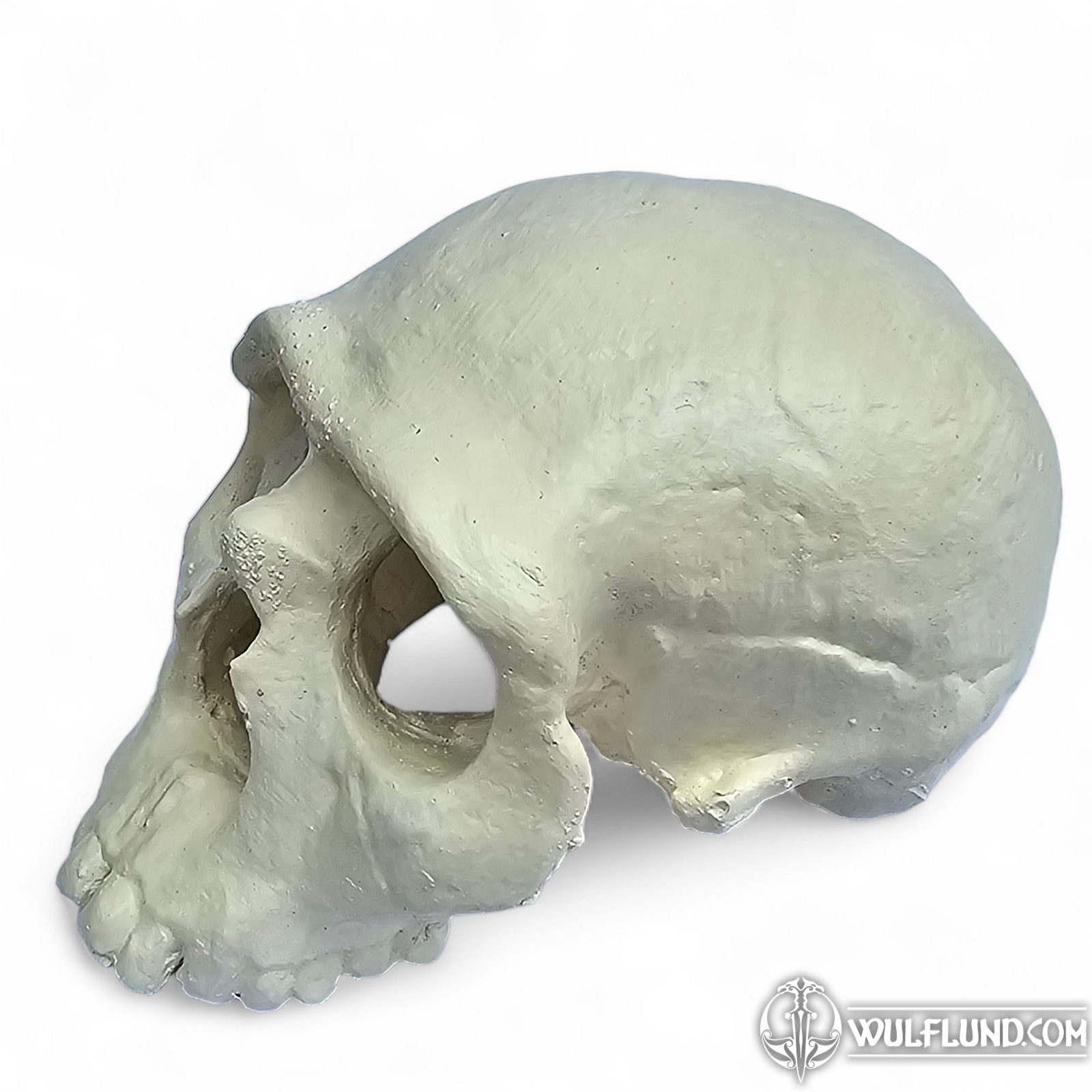 NEANDRTAL, protohuman, skull Figury historical miniatures Decorations ...