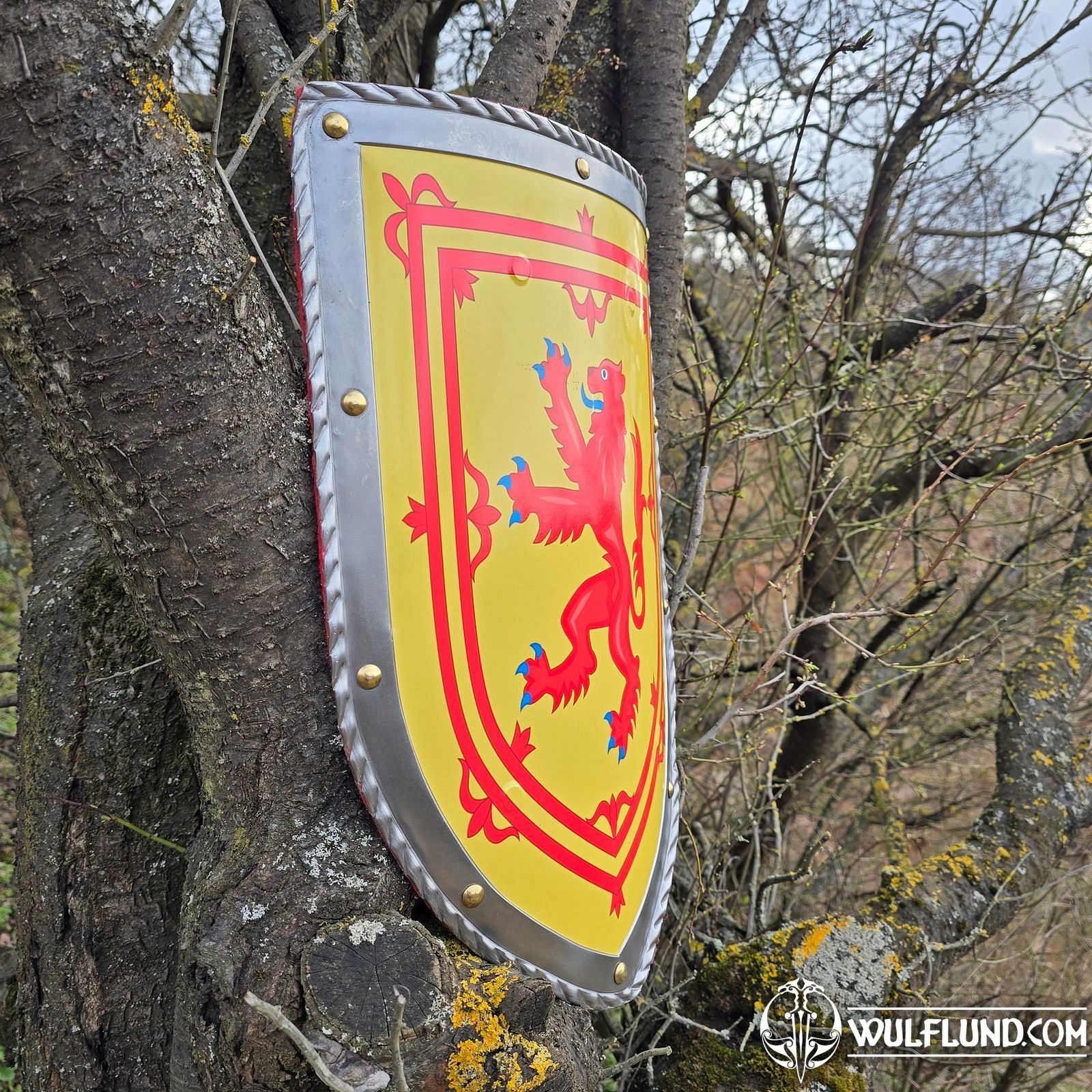SCOTLAND, MEDIEVAL SHIELD - metal, handmade Decorative and painted ...
