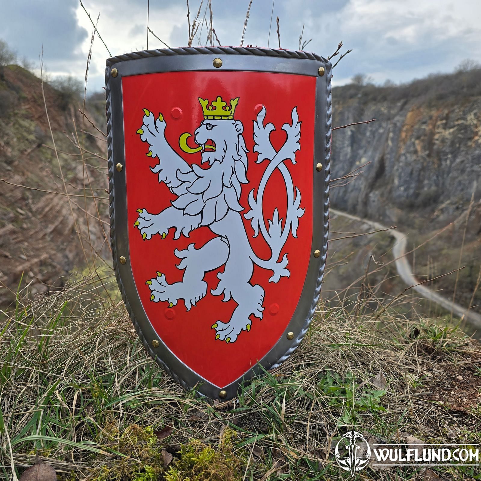 MEDIEVAL SHIELD - Bohemian lion, metal, handmade Decorative and painted ...