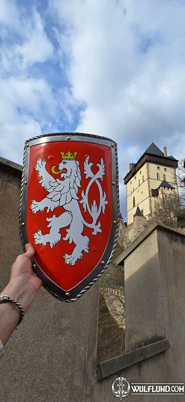 MEDIEVAL SHIELD - Bohemian lion, metal, handmade Decorative and painted ...