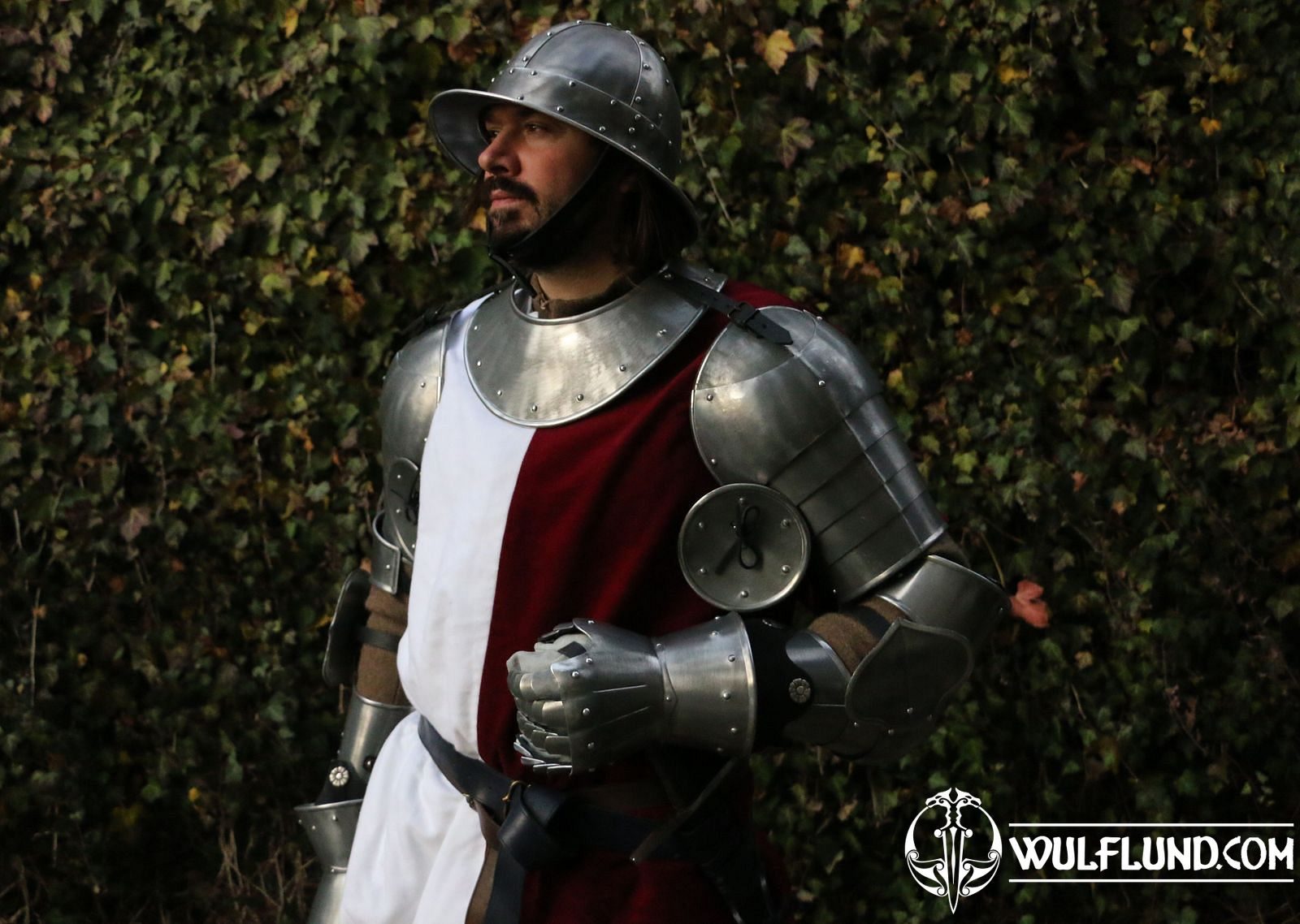 King's Guard - Medieval Knight - costume rental Drakkaria costume ...