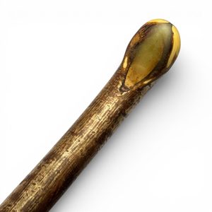 Shillelagh - Irish walking stick, hazel Wulflund