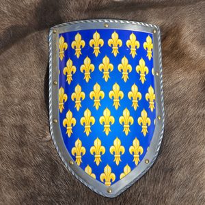 FRANCE, MEDIEVAL SHIELD - metal, handmade Wulflund