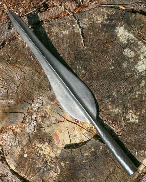 CELTIC BAYONET SPEAR, La Tene Wulflund