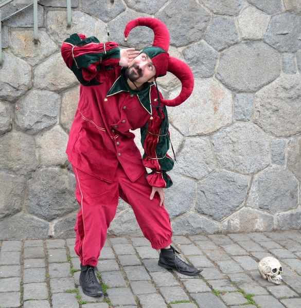 MEDIEVAL JESTER, costume rental Wulflund
